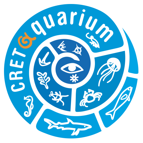 HCMR - Aquarium