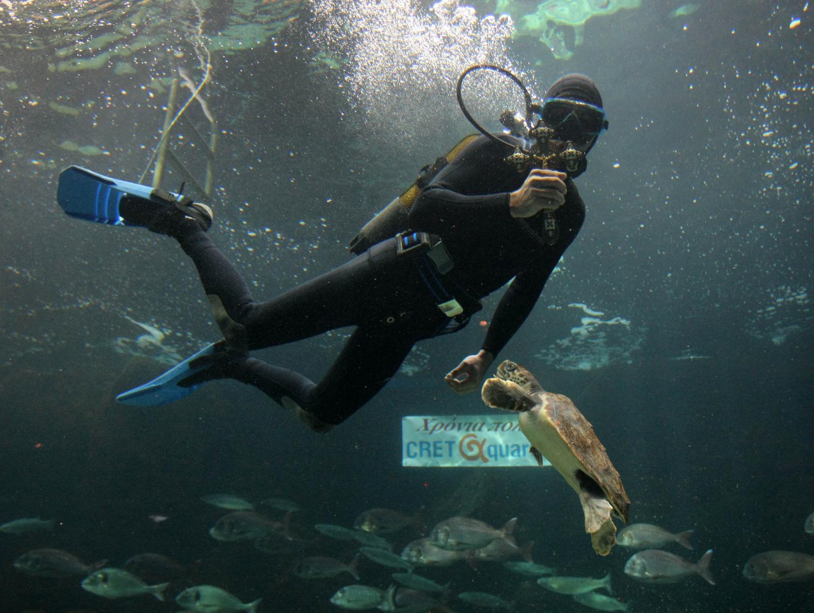 ΘΕΟΦΑΝΕΙΑ ΣΤΟ ΕΝΥΔΡΕΙΟ ΚΡΗΤΗΣ! - Aquarium